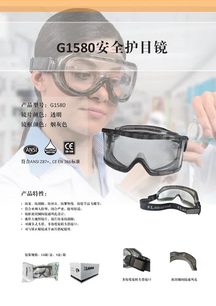 G1580 Goggles | Datasheet | Lakeland Industries Global PPE